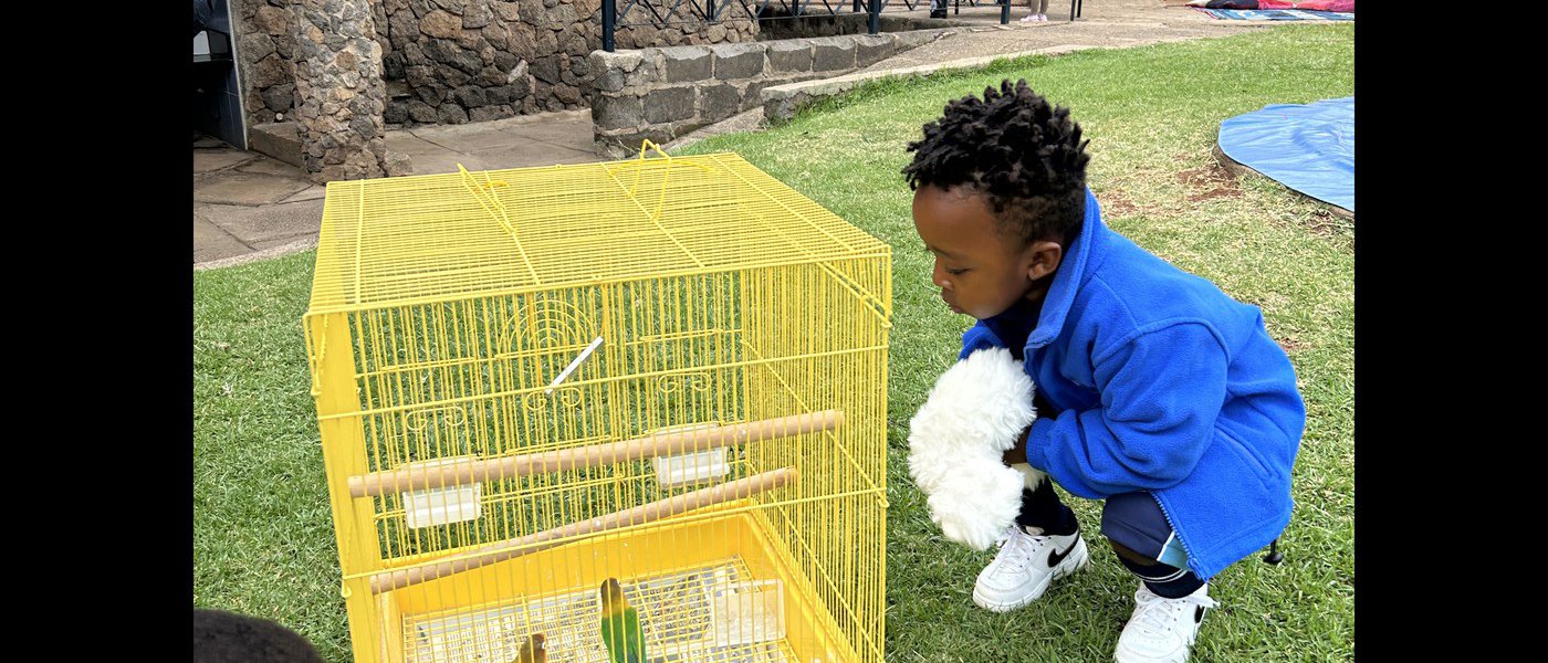 EYFS World Animal Day - Braeside Lavington